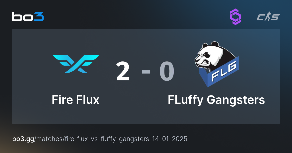 Fire Flux vs FLuffy Gangsters - CS2