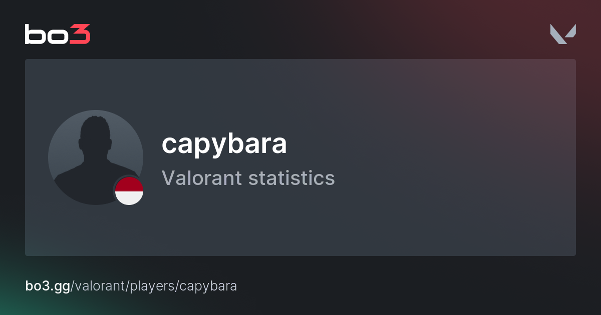 capybara ( ) Valorant Stats – BOTT